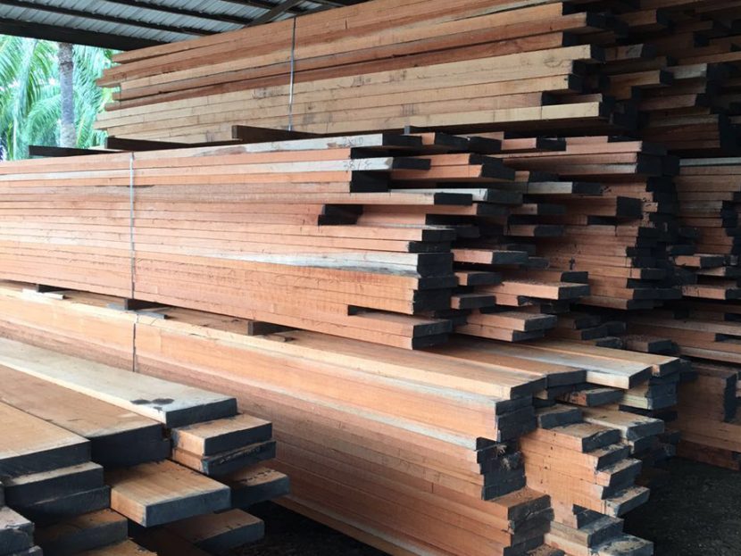 Meranti Archives | IMaskayu